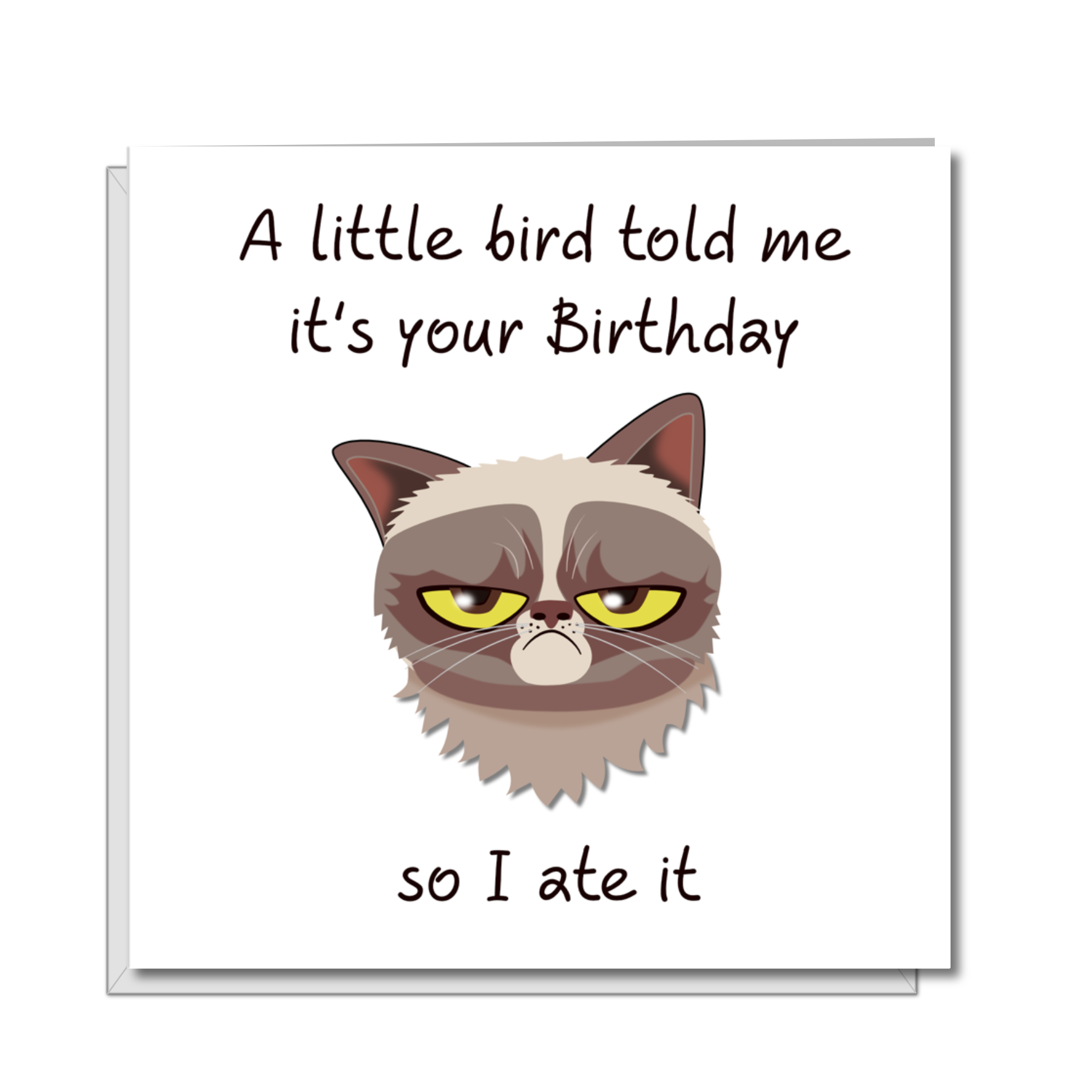 Birthday Funny Grumpy Cat